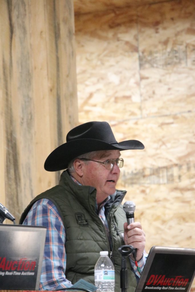Lisco Angus & M Diamond Angus Bull Sale | TSLN.com