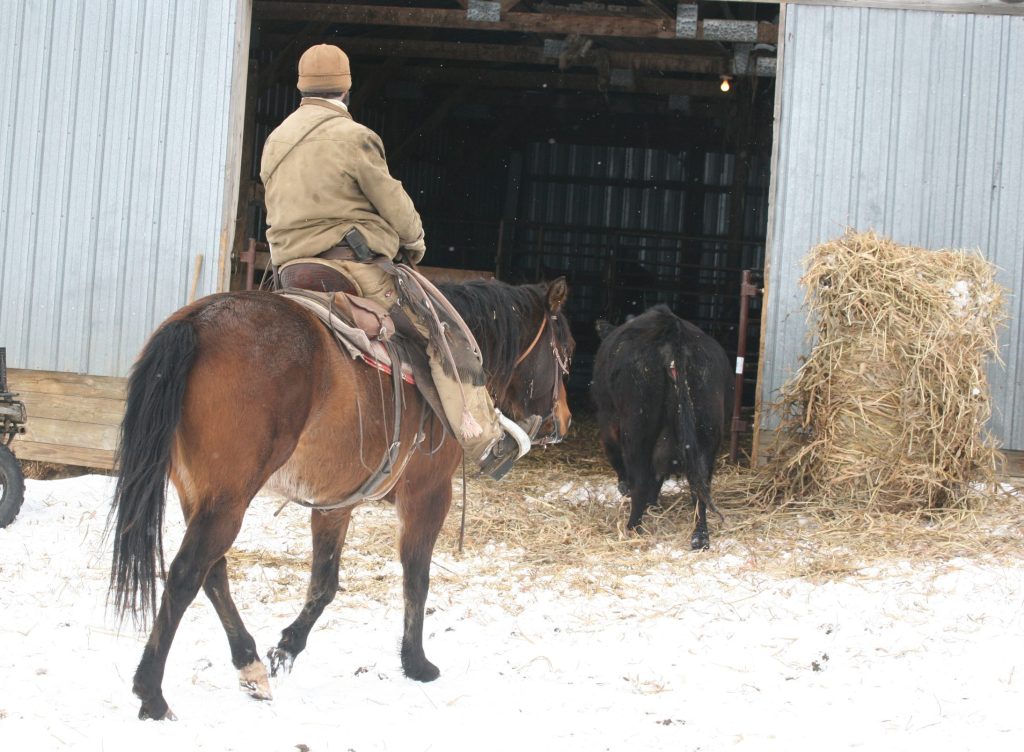 Spring Storm Fronts Impact Calving Patterns | TSLN.com