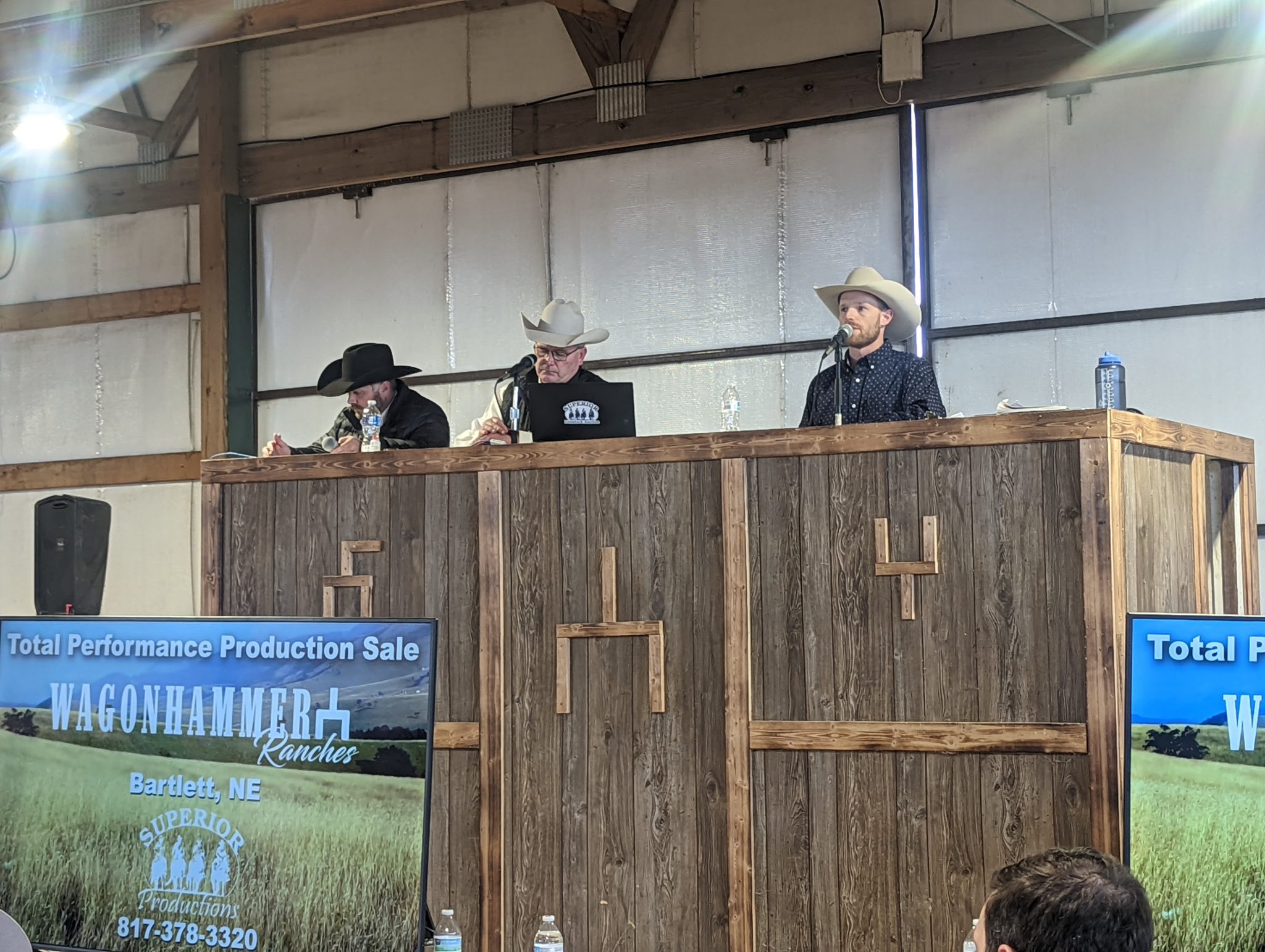 Wagonhammer Ranch Total Performance Production Sale | TSLN.com