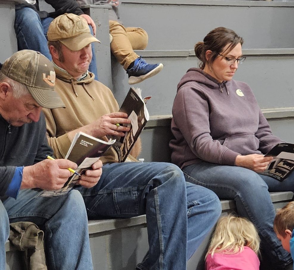 Miller Angus Farms | TSLN.com