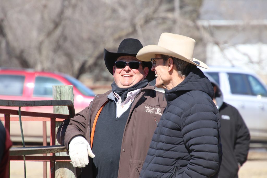 McCumber Angus Annual Production Sale | TSLN.com
