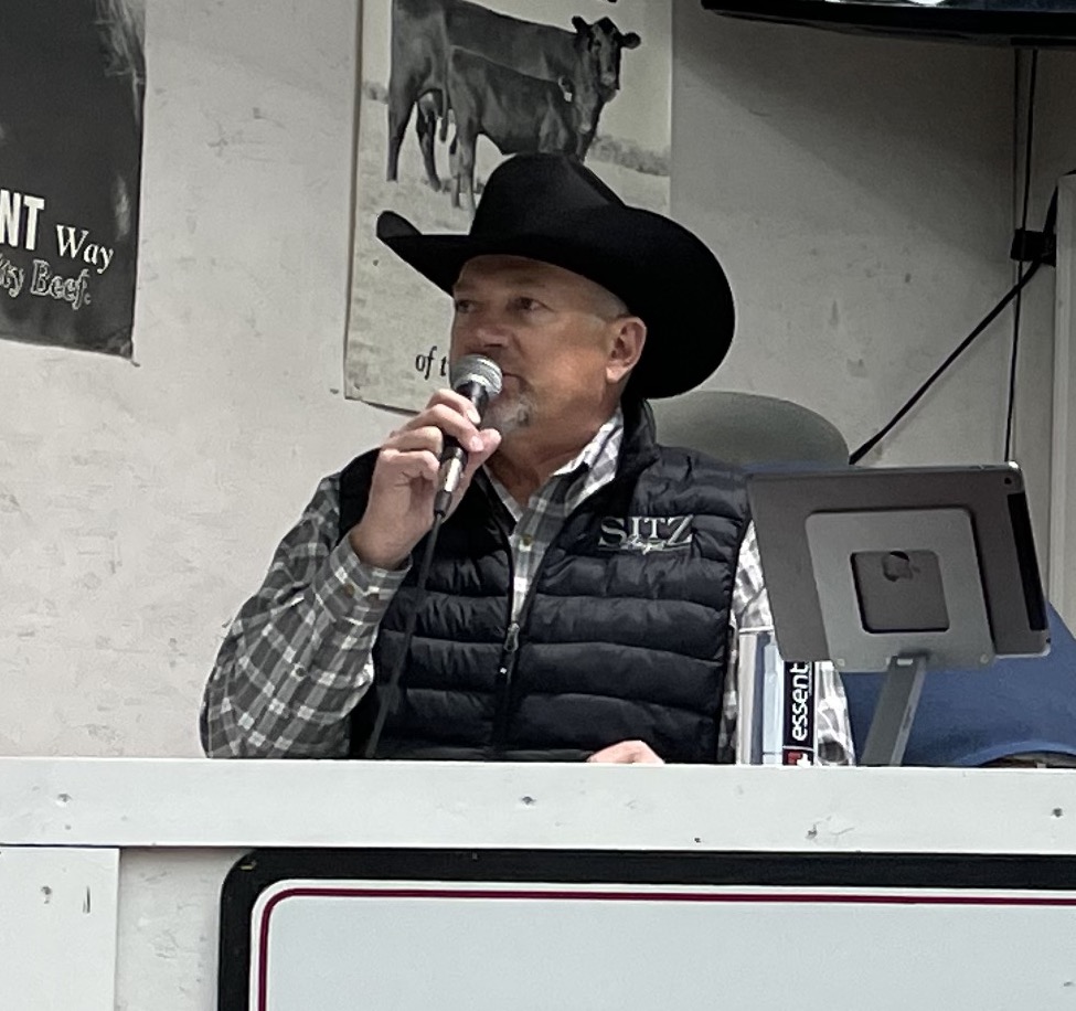 Sitz Angus The Maternal Prefix 22nd Annual Spring Bull Sale | TSLN.com