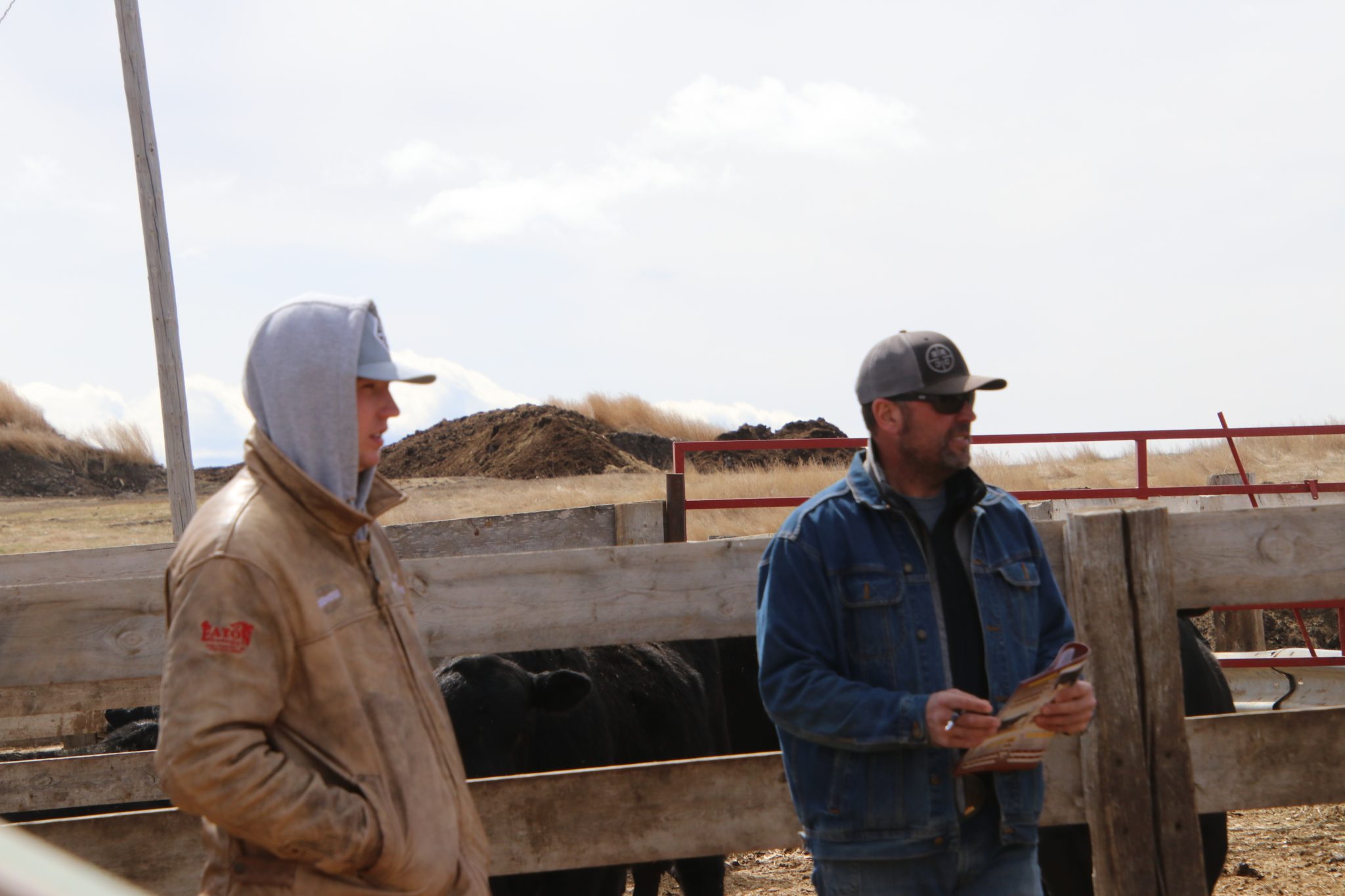 Wilson Ranch SimAngus/Jenson Ranch SimAngus Transition Sale | TSLN.com