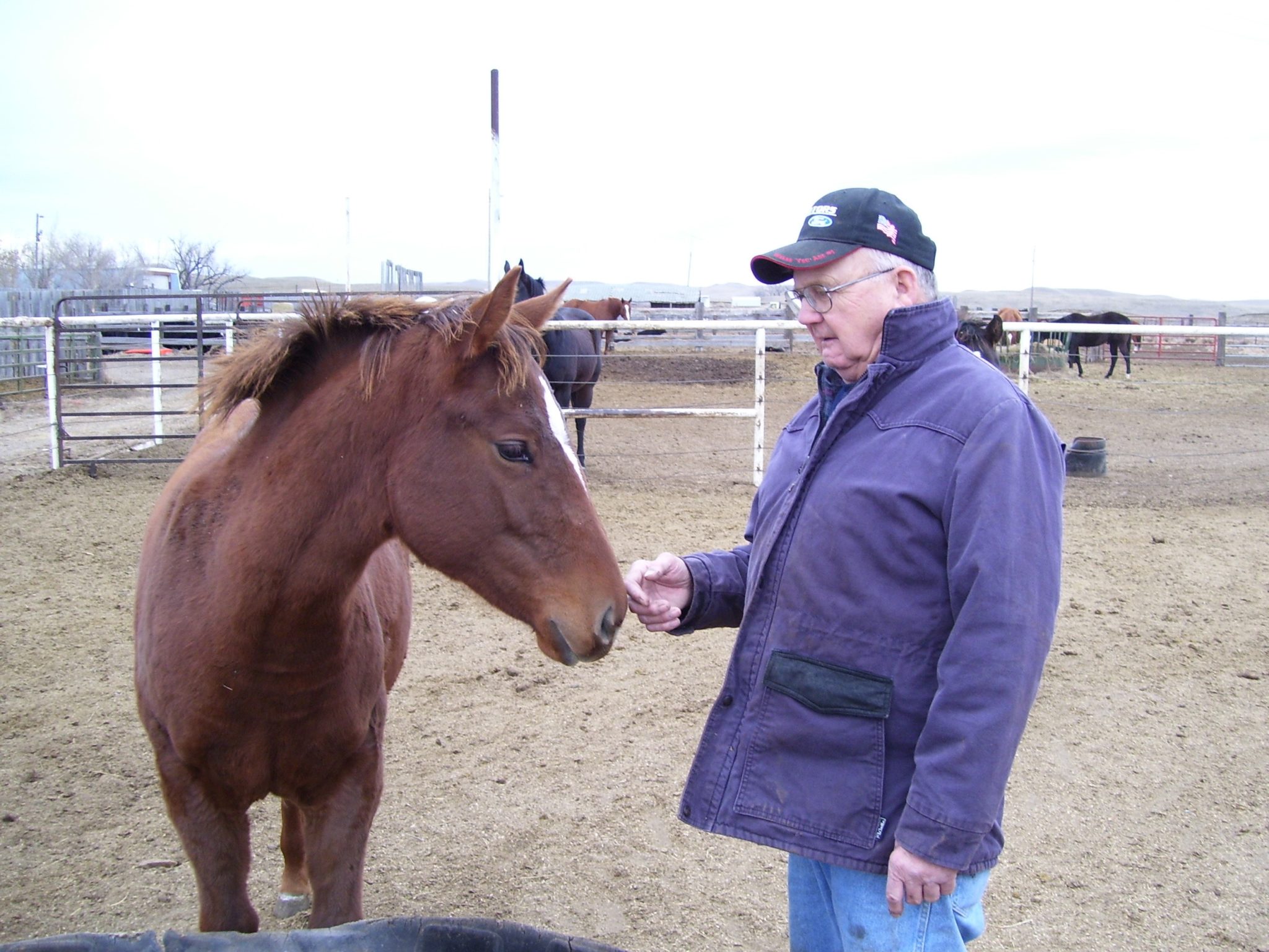 John G. Johnson: SDQHA 50 Year Breeder Award | TSLN.com