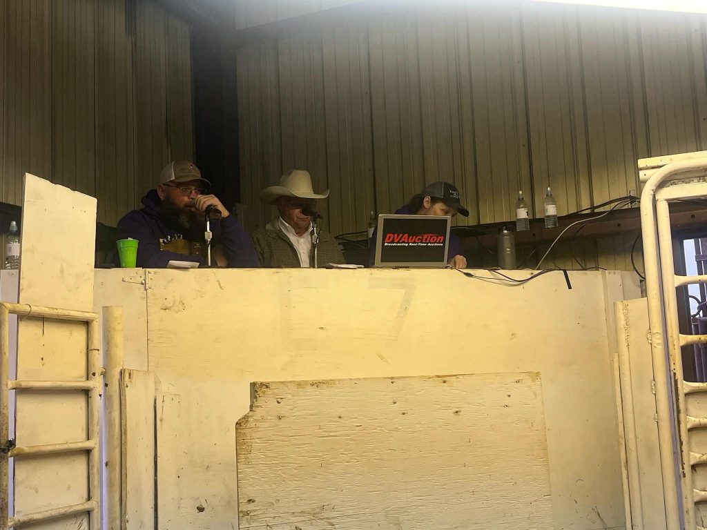 Kraye Angus 33rd Annual Production Sale | TSLN.com