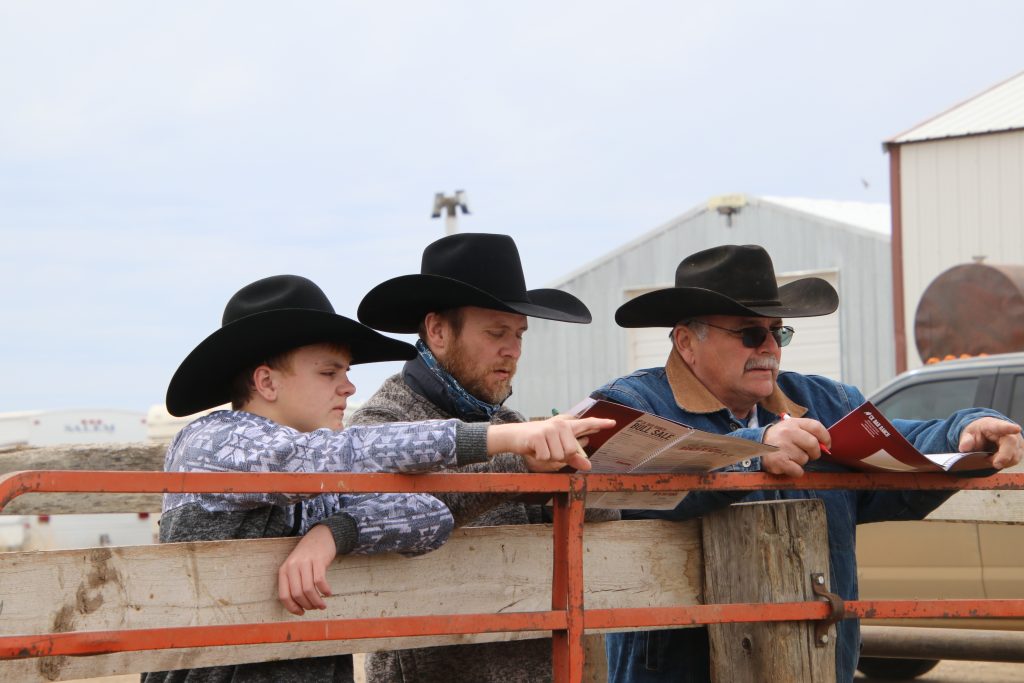 CK Bar Ranch 23rd Annual Bull Sale | TSLN.com