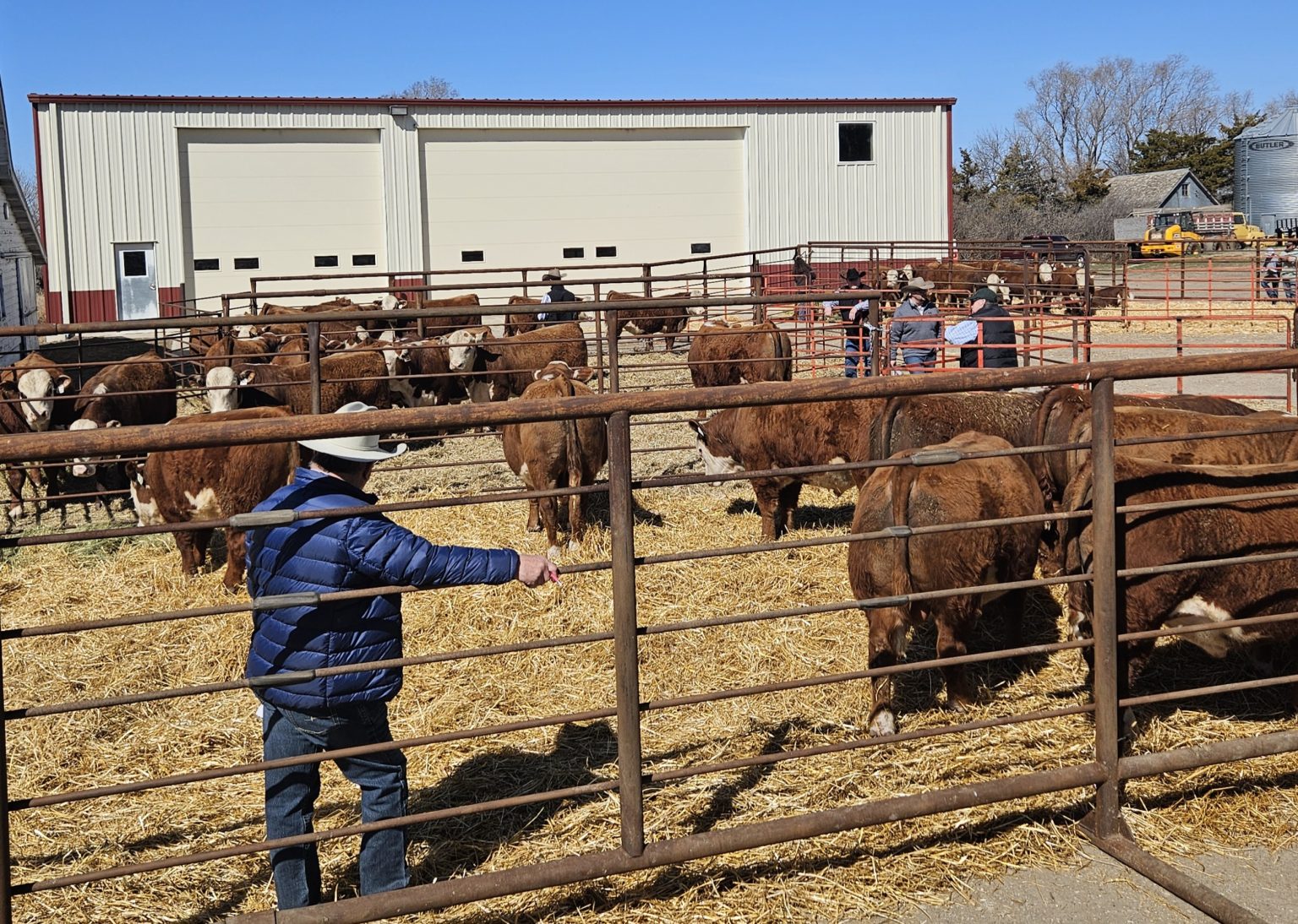Thorstenson Hereford Ranch | TSLN.com