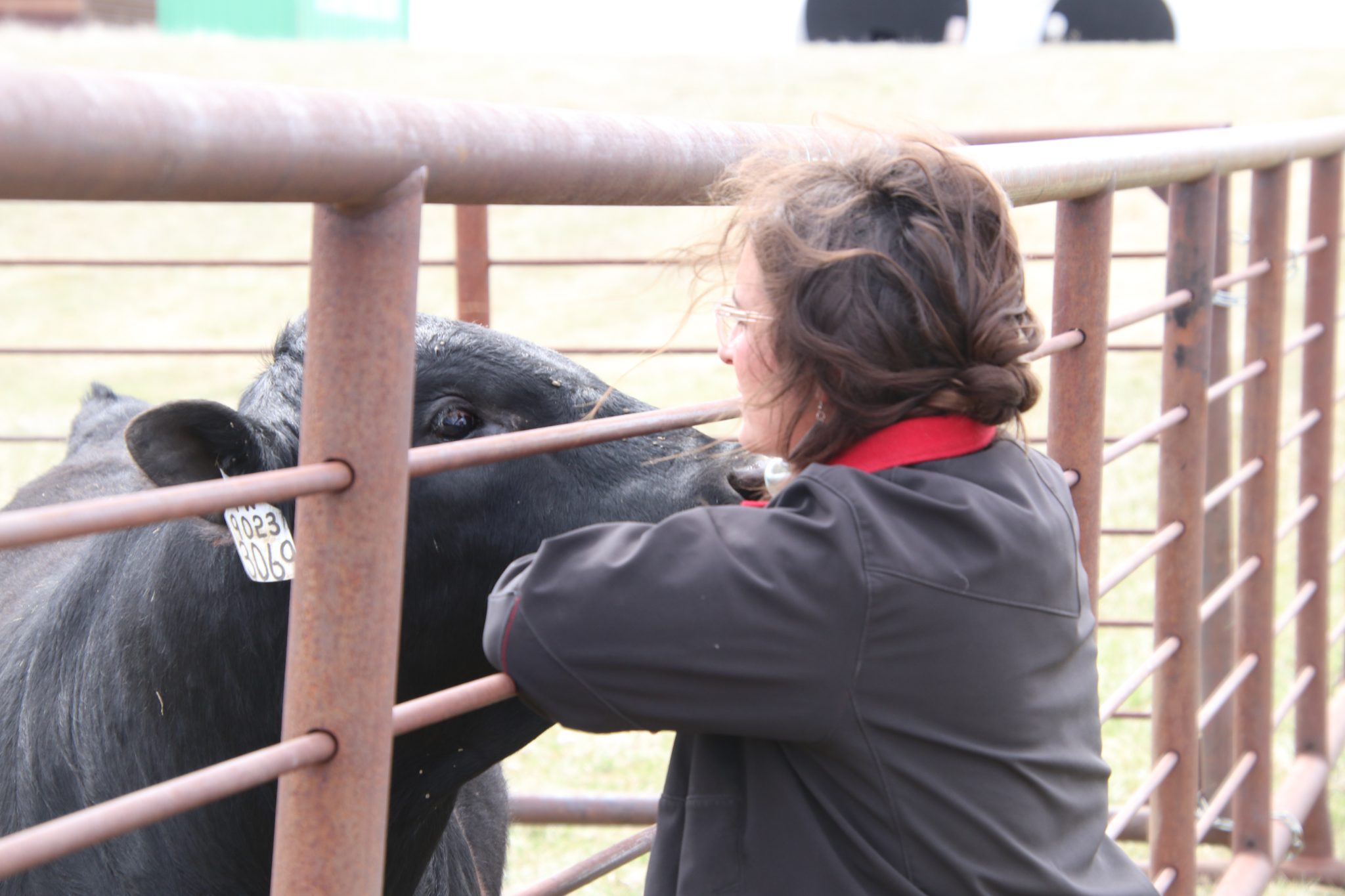 Turtle Creek Angus & Ingalls Centennial Angus Annual Production Sale ...