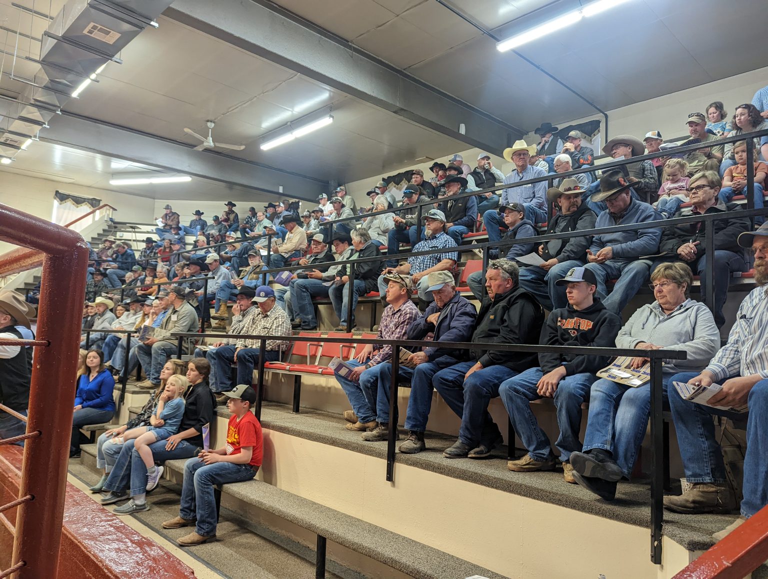 Sellman Ranch Annual Production Sale | TSLN.com