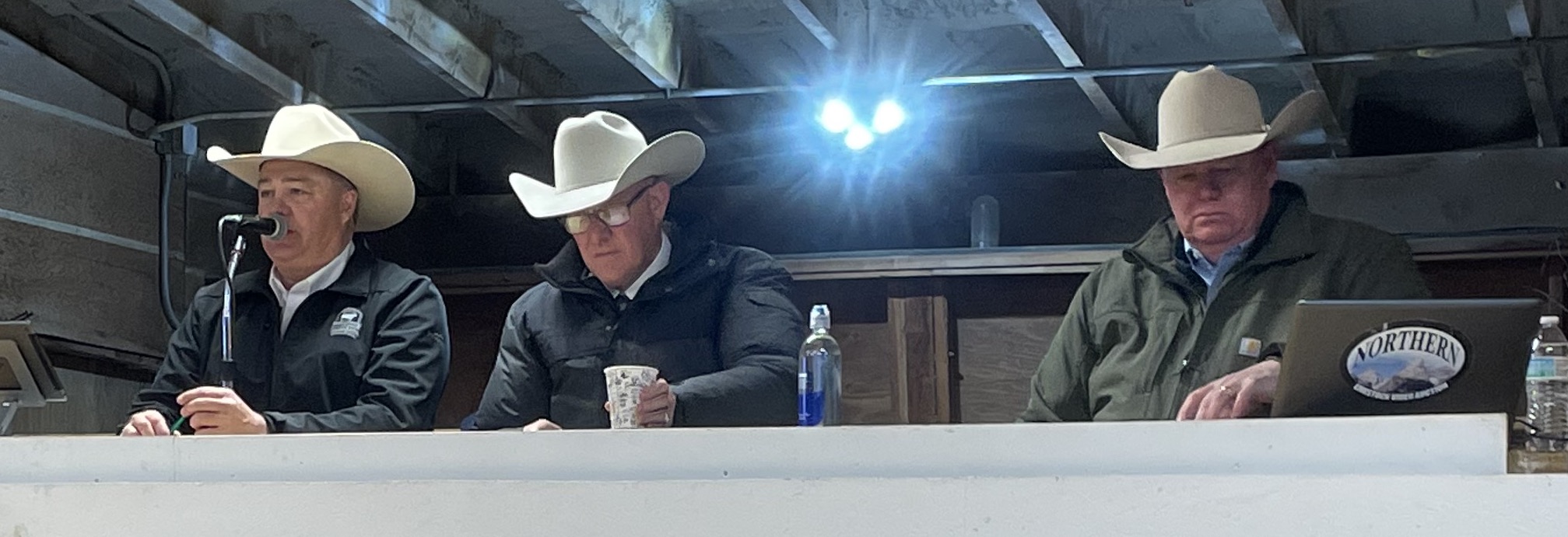 Vermilion Ranch Spring Performance Bull and Heifer Sale | TSLN.com