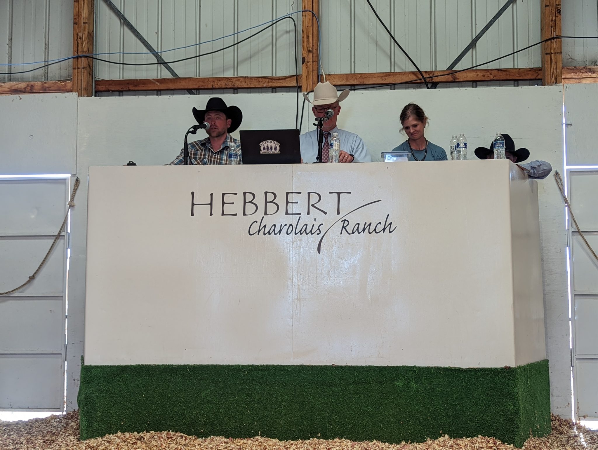 Hebbert Charolais 42nd Annual Bull Sale | TSLN.com