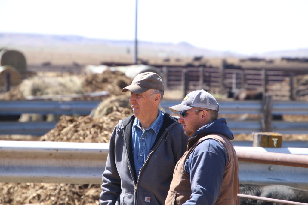 Littau Angus Annual Bull Sale | TSLN.com