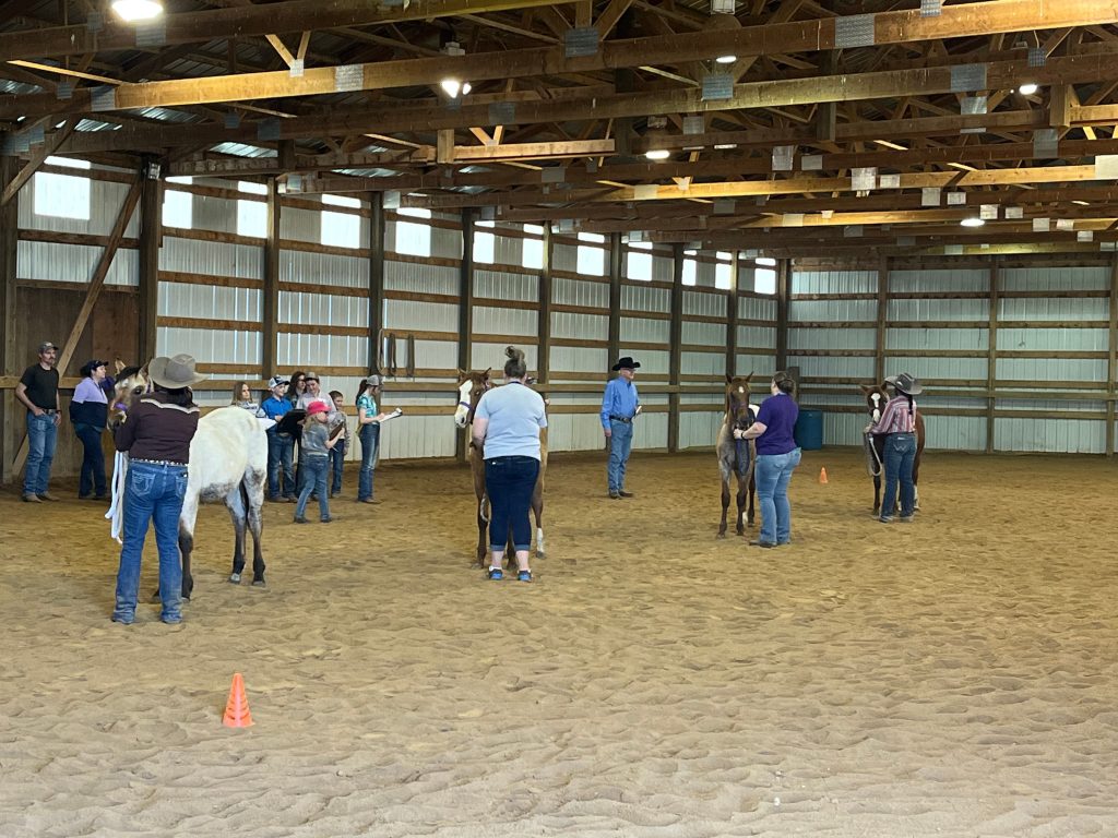 HORSE JUDGING CLINIC AND COMPETITION AT HOLZER ARENA | TSLN.com