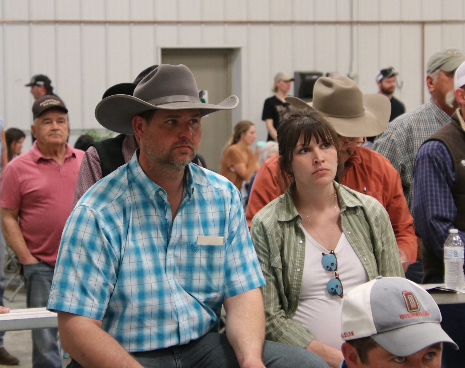 HanSine Ranch Red Angus Bull & Female Sale | TSLN.com