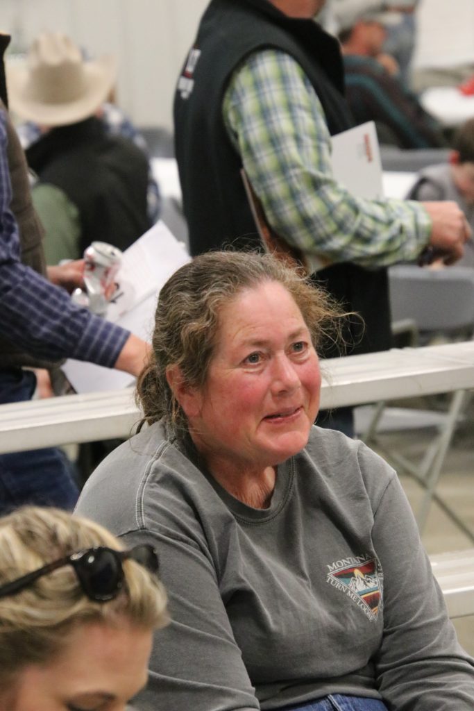 HanSine Ranch Red Angus Bull & Female Sale | TSLN.com