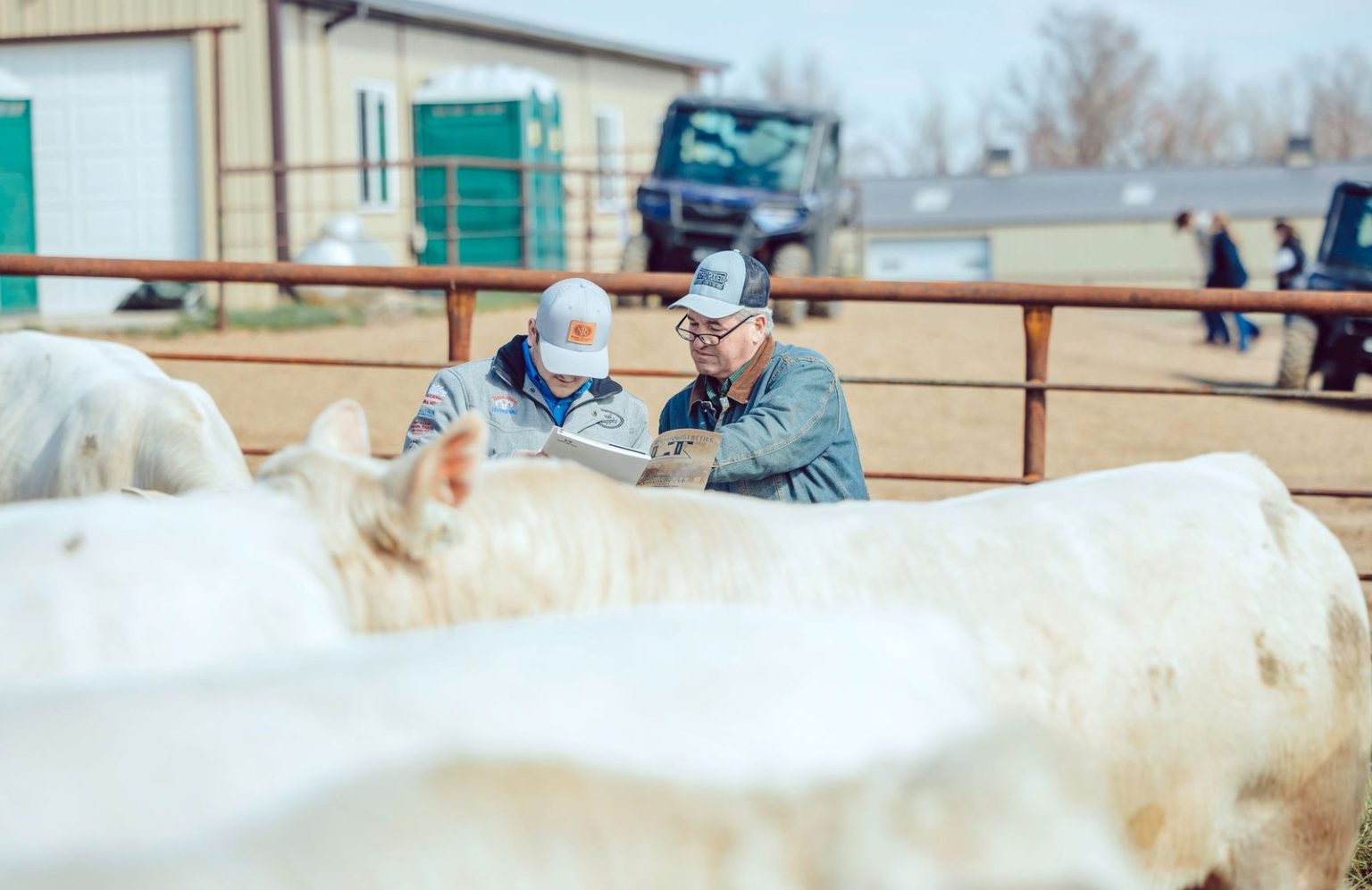Lindskov LT Ranch “World Renowned Genetics” 43rd Annual Bull Sale ...