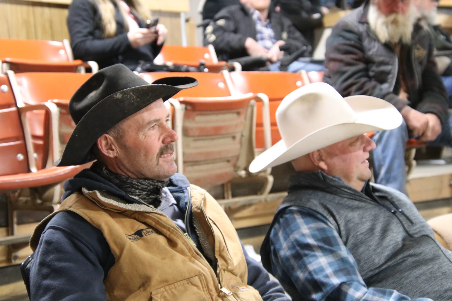 CS Angus Annual Bull Sale | TSLN.com