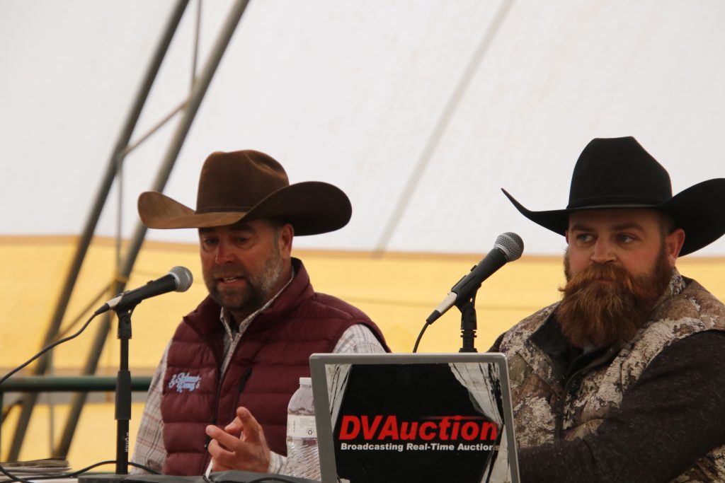 Schaack Ranch Annual Production Sale | TSLN.com