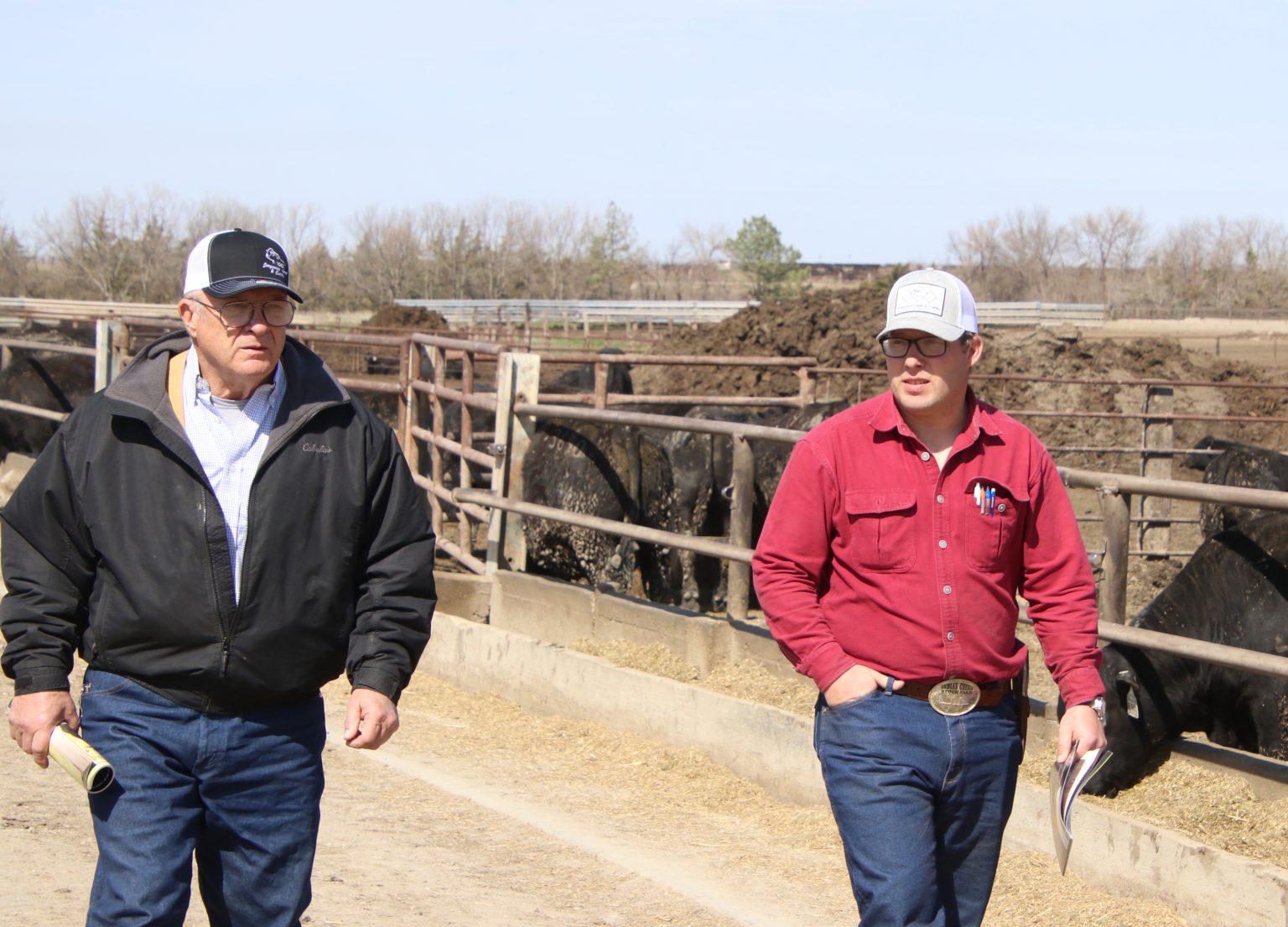 Jorgensen Land & Cattle Top Cut Bull Sale | TSLN.com