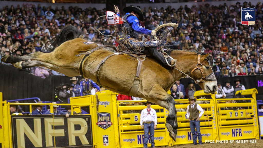 PRCA award-winning saddle bronc horse Lunatic From Hell dies | TSLN.com