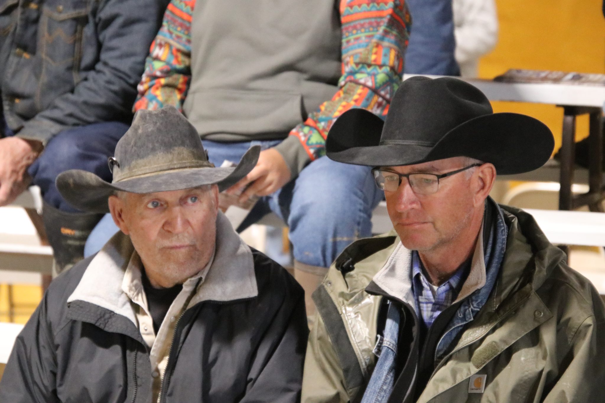 Fortune’s Rafter U Cross 24th Annual Angus Bull Sale | TSLN.com