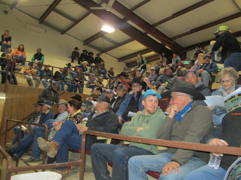 Day Angus Ranch 8th Annual Bull Sale | TSLN.com