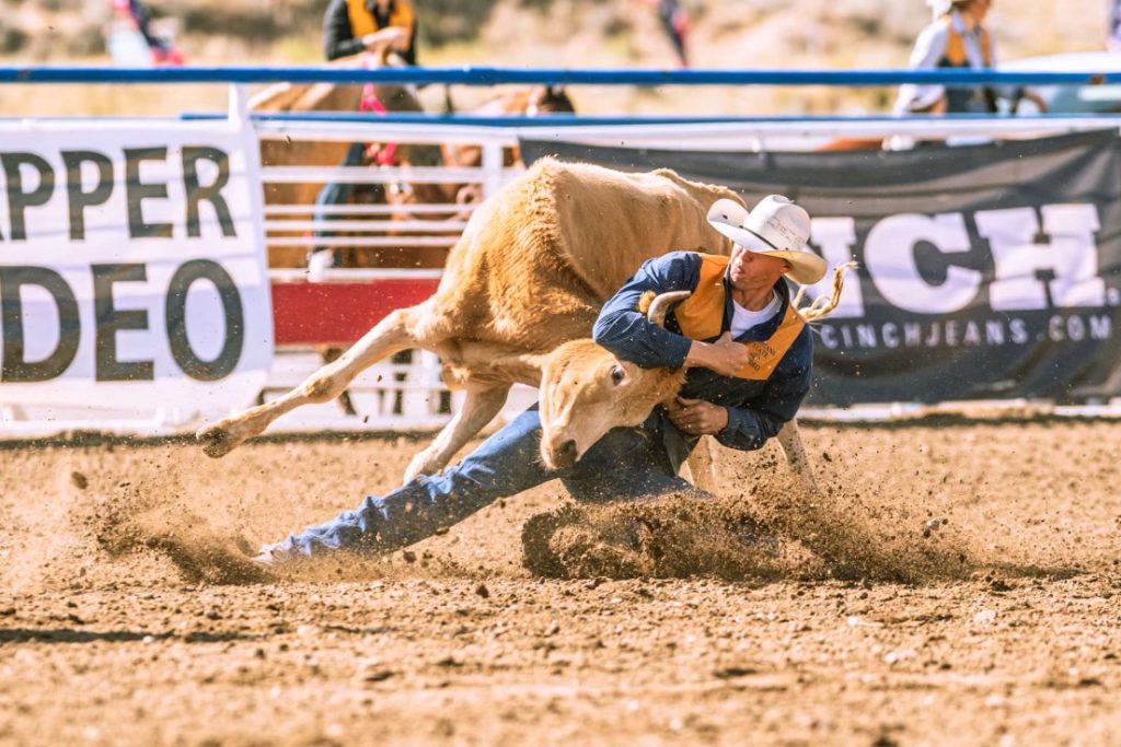 After a Dominating Season, the MSU Rodeo Team Looks Towards the CNFR in ...