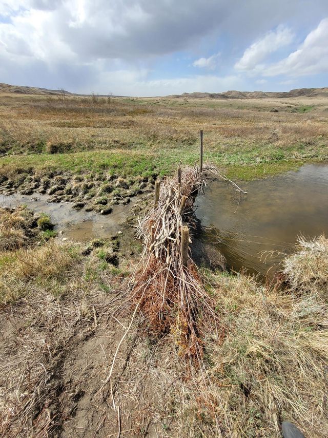 Ranchers Stewardship Alliance pairs ranchers with viable environmental ...