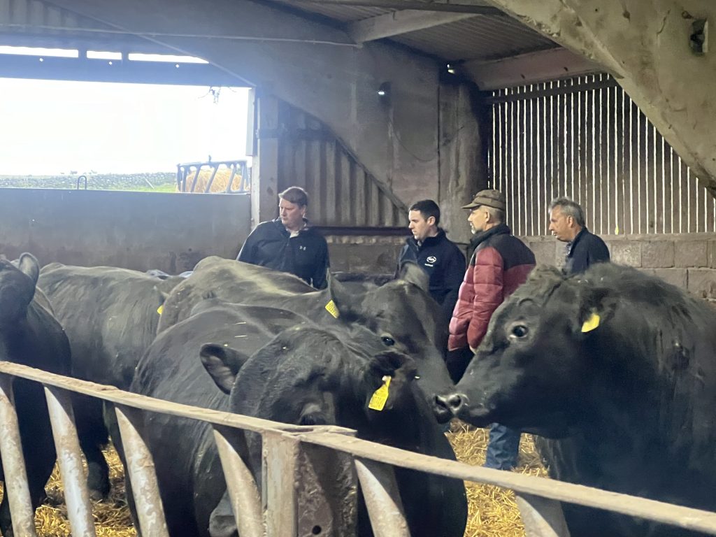 Across the sea: Wyoming rancher speaks to British Society of Animal ...