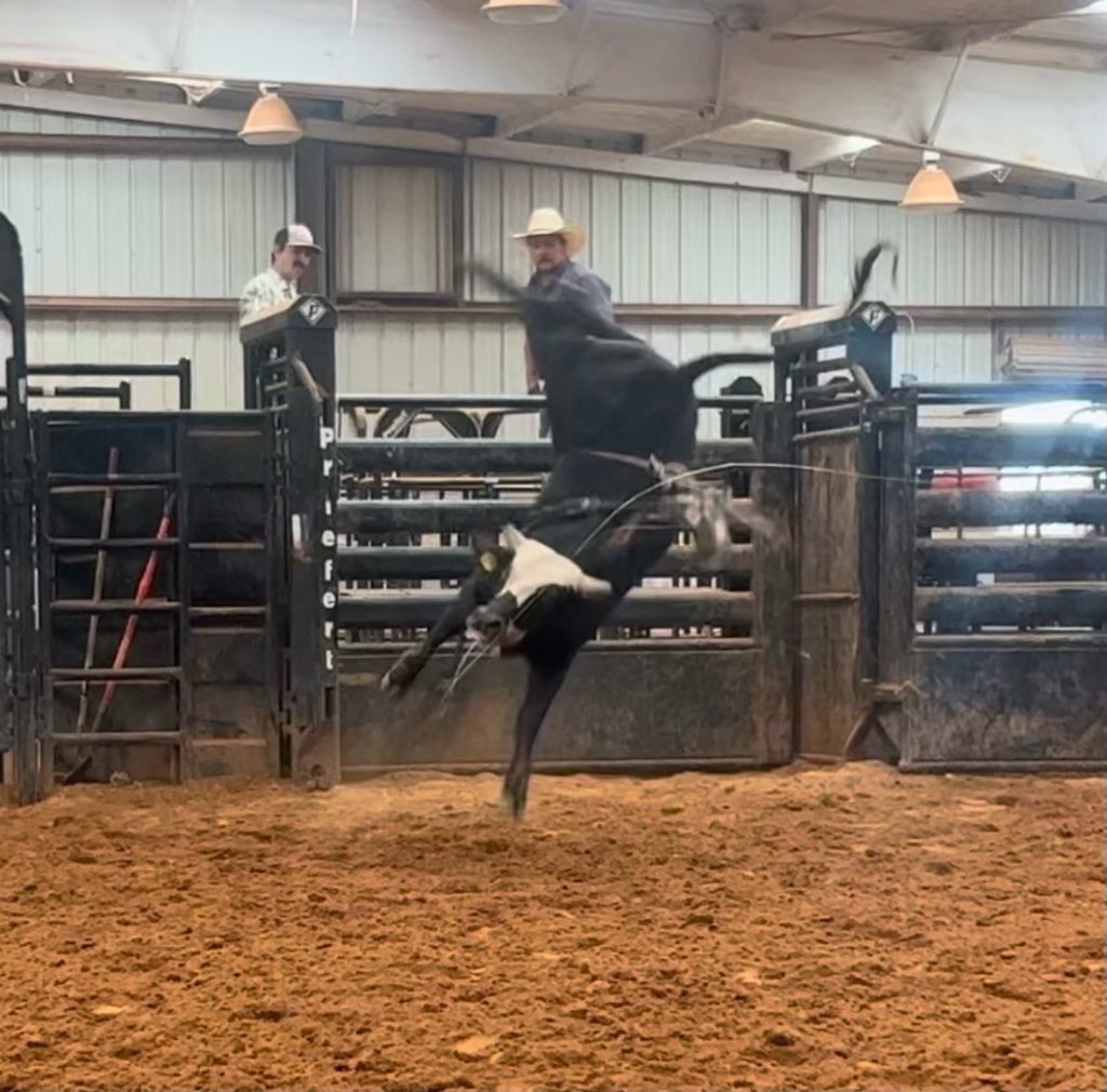 Out West Events 2024 | In the Bull Pen: Breeding, Raising and Growing ...