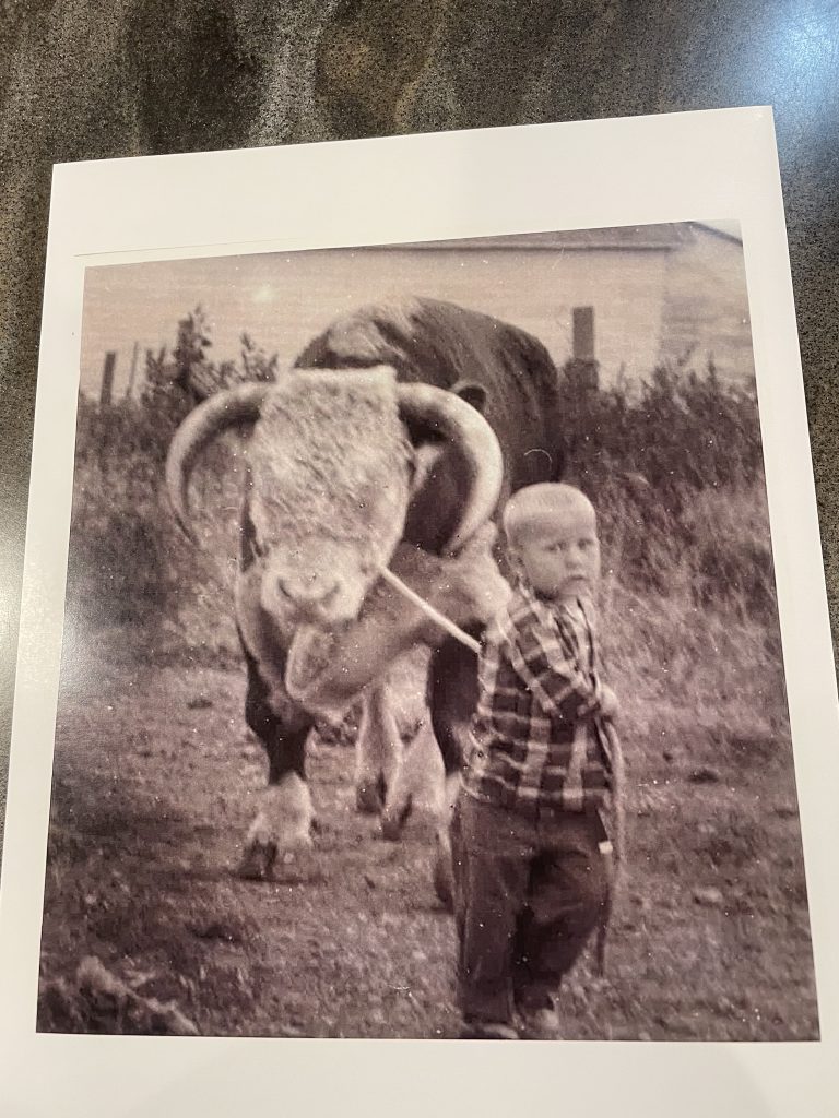 Out West Events 2024 | In the Bull Pen: Breeding, Raising and Growing ...