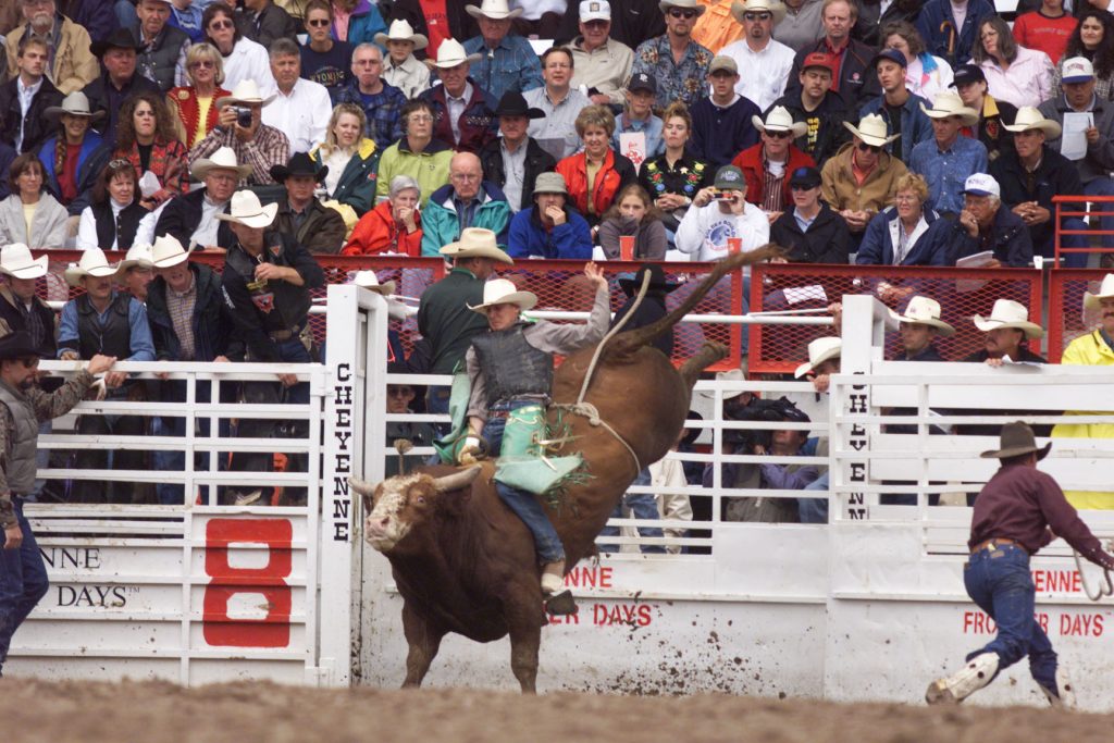 Out West Events 2024 | In the Bull Pen: Breeding, Raising and Growing ...