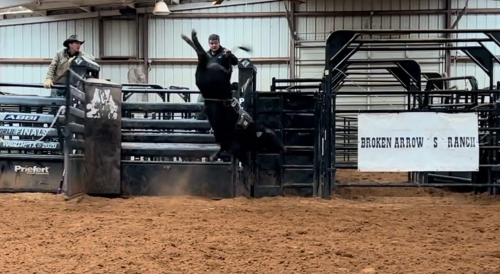 Out West Events 2024 | In the Bull Pen: Breeding, Raising and Growing ...