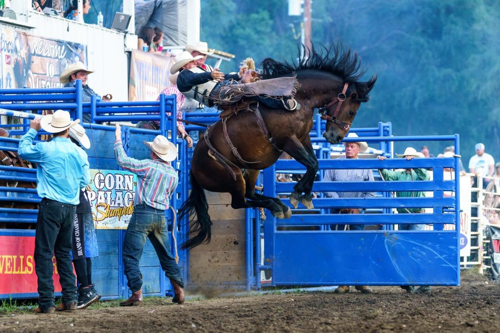Out West Events 2024 | Return of the Corn Palace Stampede | TSLN.com