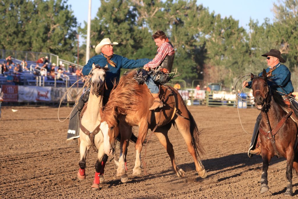 Out West Events 2024 | Better than a Gold Buckle: Johnson “Picks Up ...