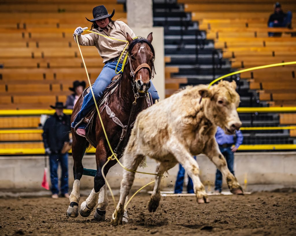 Out West Events 2024 | WSRRA promotes the traditions of the working ...