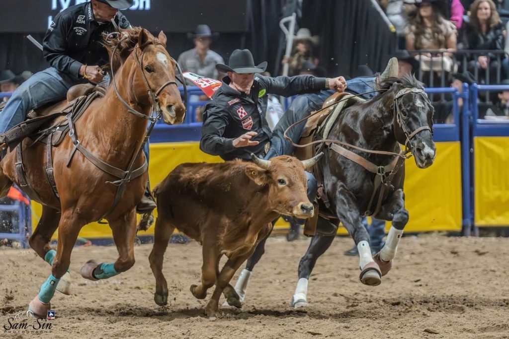 Out West Events 2024 | Rodeo Ready: Maintaining the Equine Athlete ...