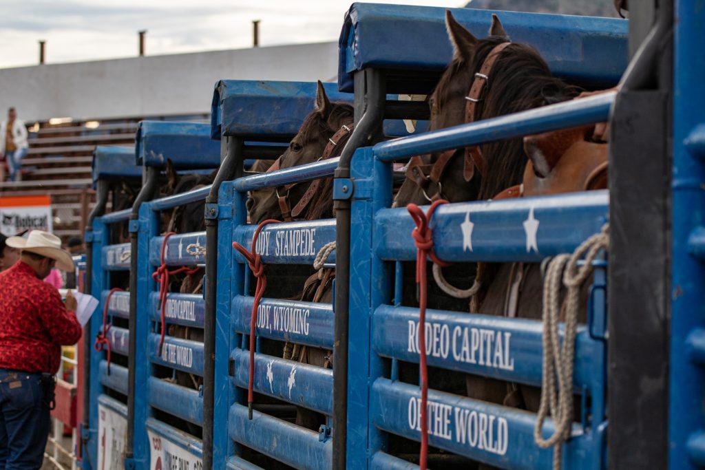 Out West Events 2024 | Cody Nite Rodeo | TSLN.com