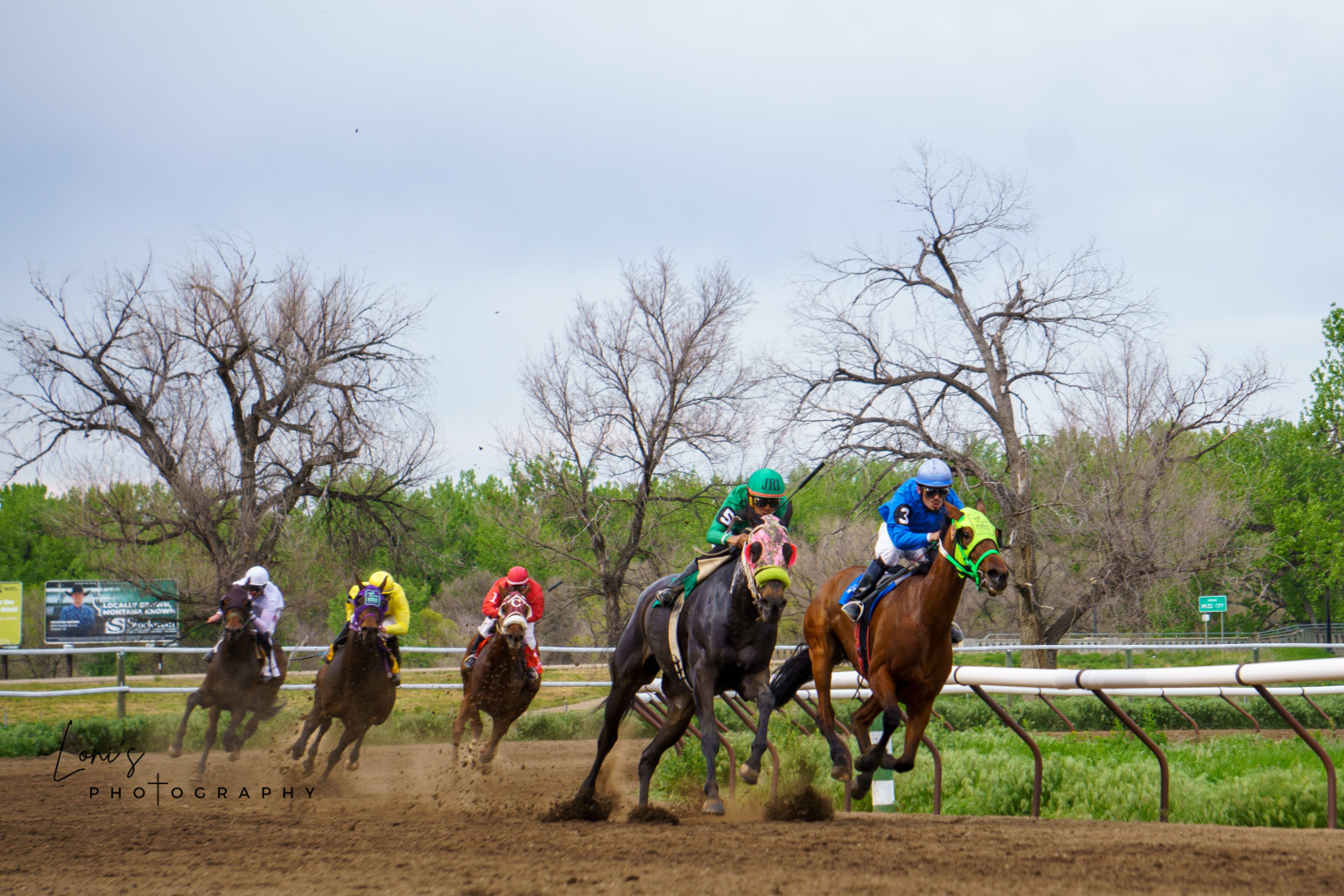 Dawson Hay wins big in Miles City Bucking Horse Sale, Bob Johnson takes ...
