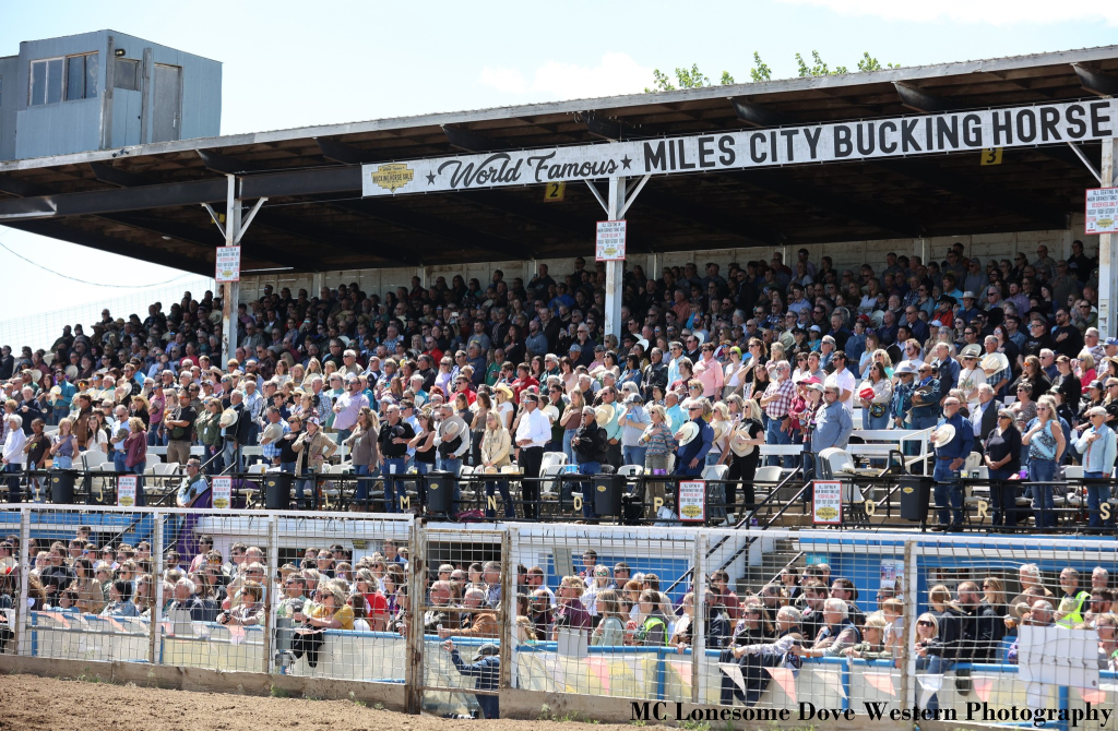 Dawson Hay wins big in Miles City Bucking Horse Sale, Bob Johnson takes ...