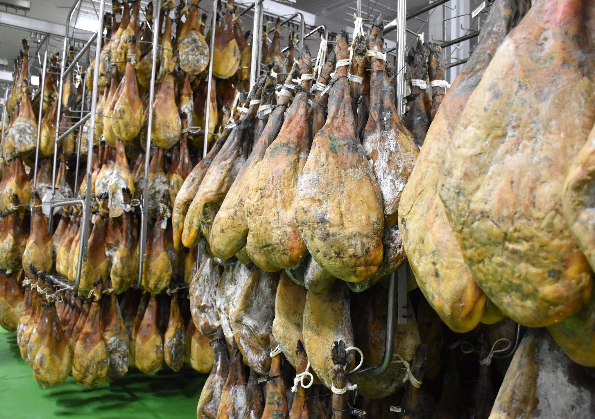 Italy sends army to hunt wild boar and protect lucrative pork industry ...