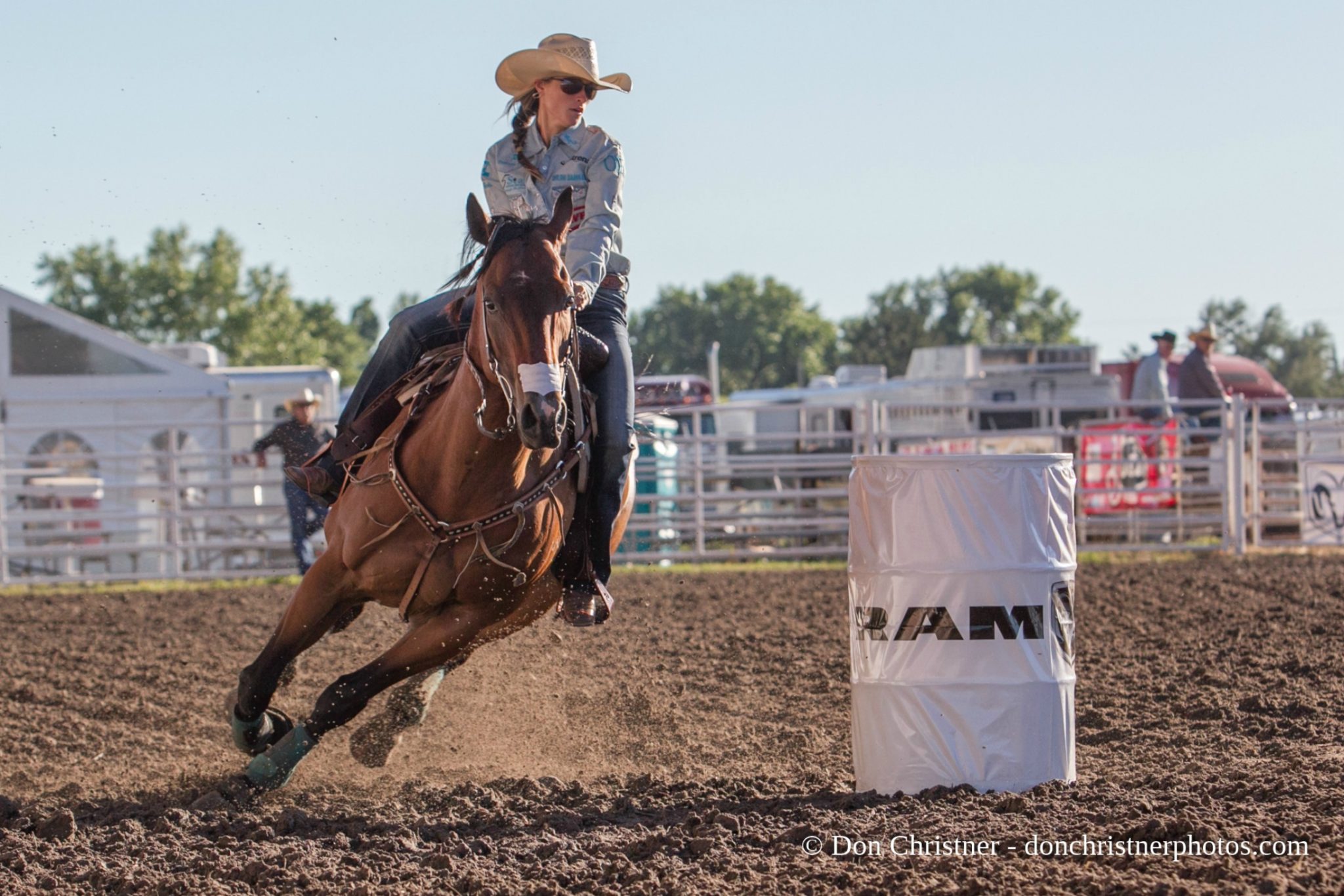 GOLDEN HORSE | TSLN.com