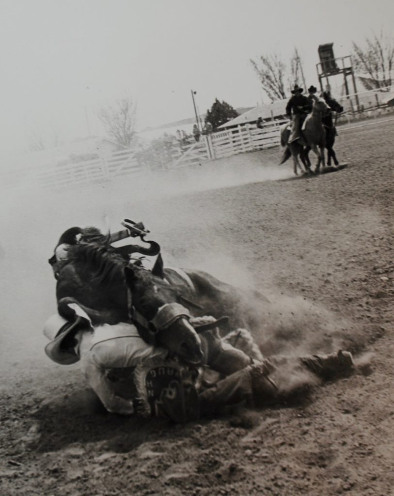2024 MCBHS | Miles City Bucking Horse Sale Inducted into Montana Cowboy ...