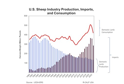Speer: Protectionists Plagued By Wool Blindness | TSLN.com