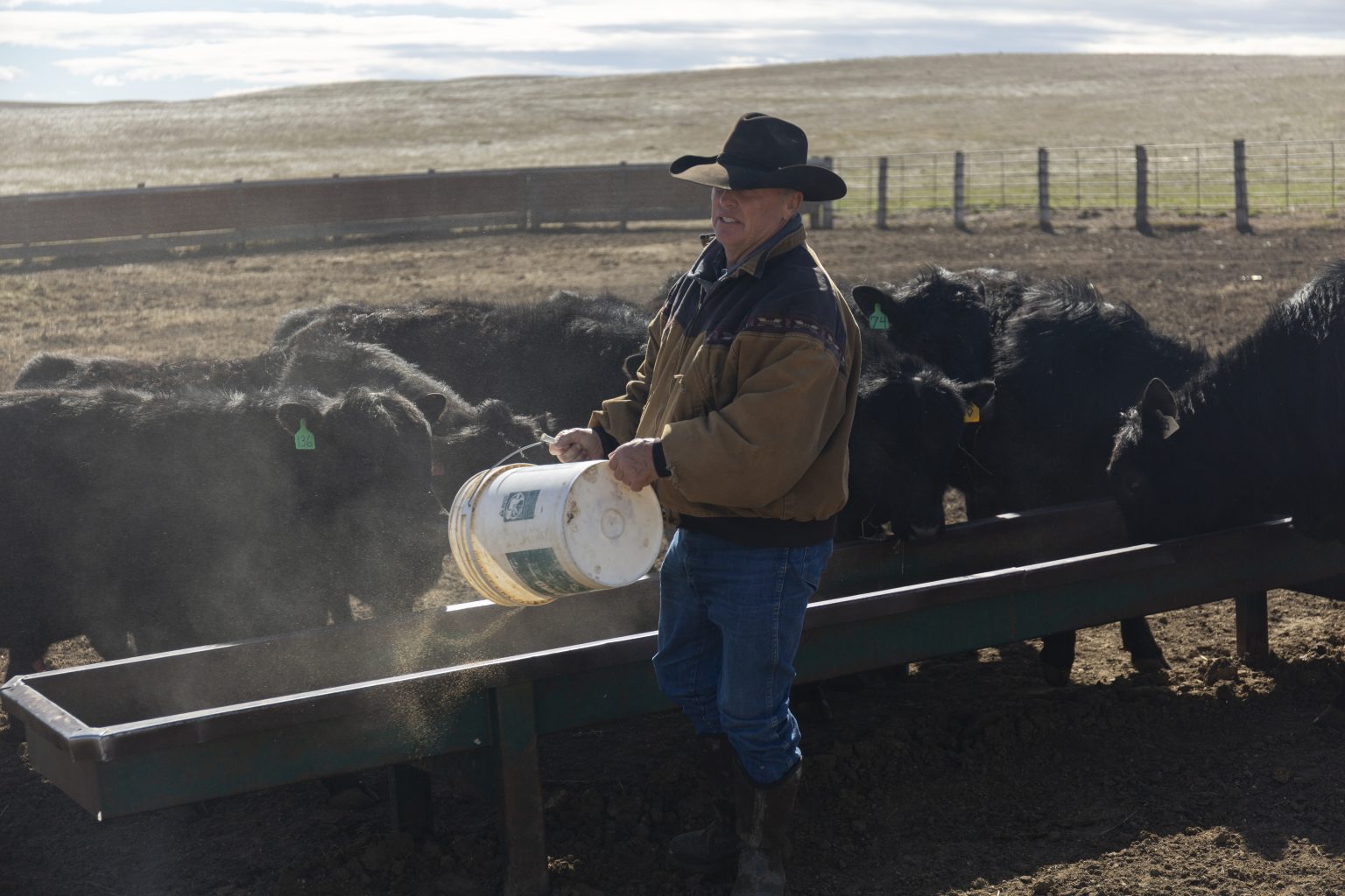 R-CALF 2024 | MCOOL is Right for America | TSLN.com