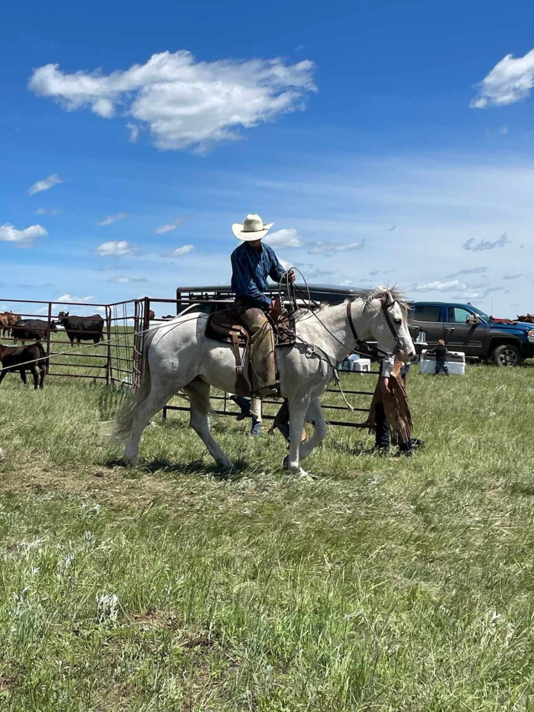 Grit and hard work take South Dakota kids to the top: Best in each ...