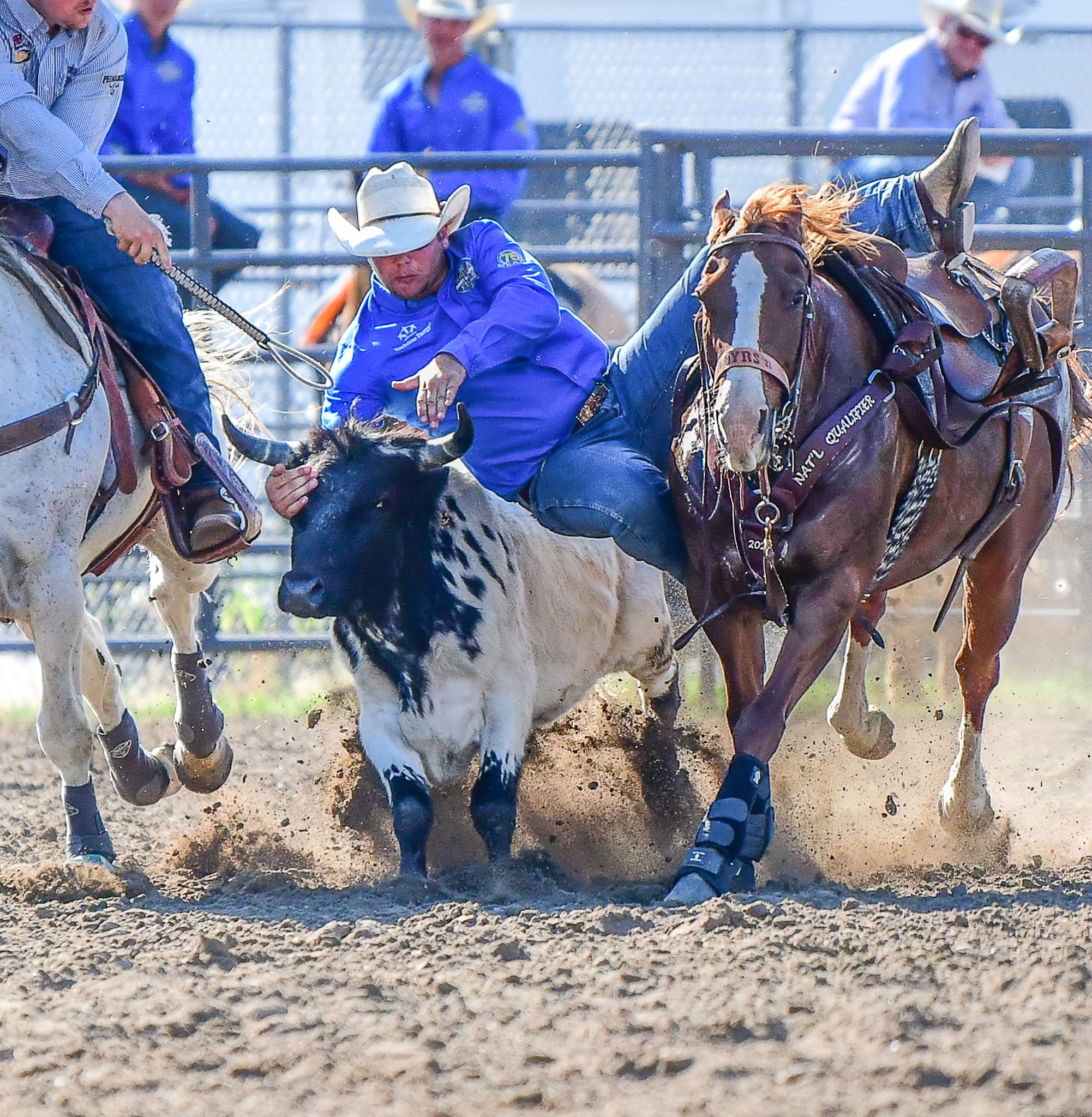 Grit and hard work take South Dakota kids to the top: Best in each ...