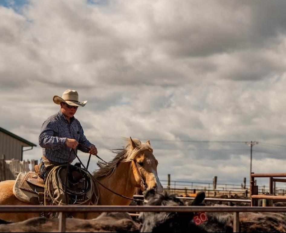 Grit and hard work take South Dakota kids to the top: Best in each ...