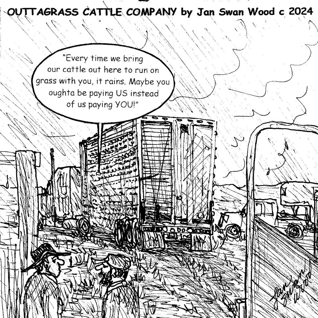 Outtagrass Cattle Co cartoon by Jan Swan Wood | TSLN.com