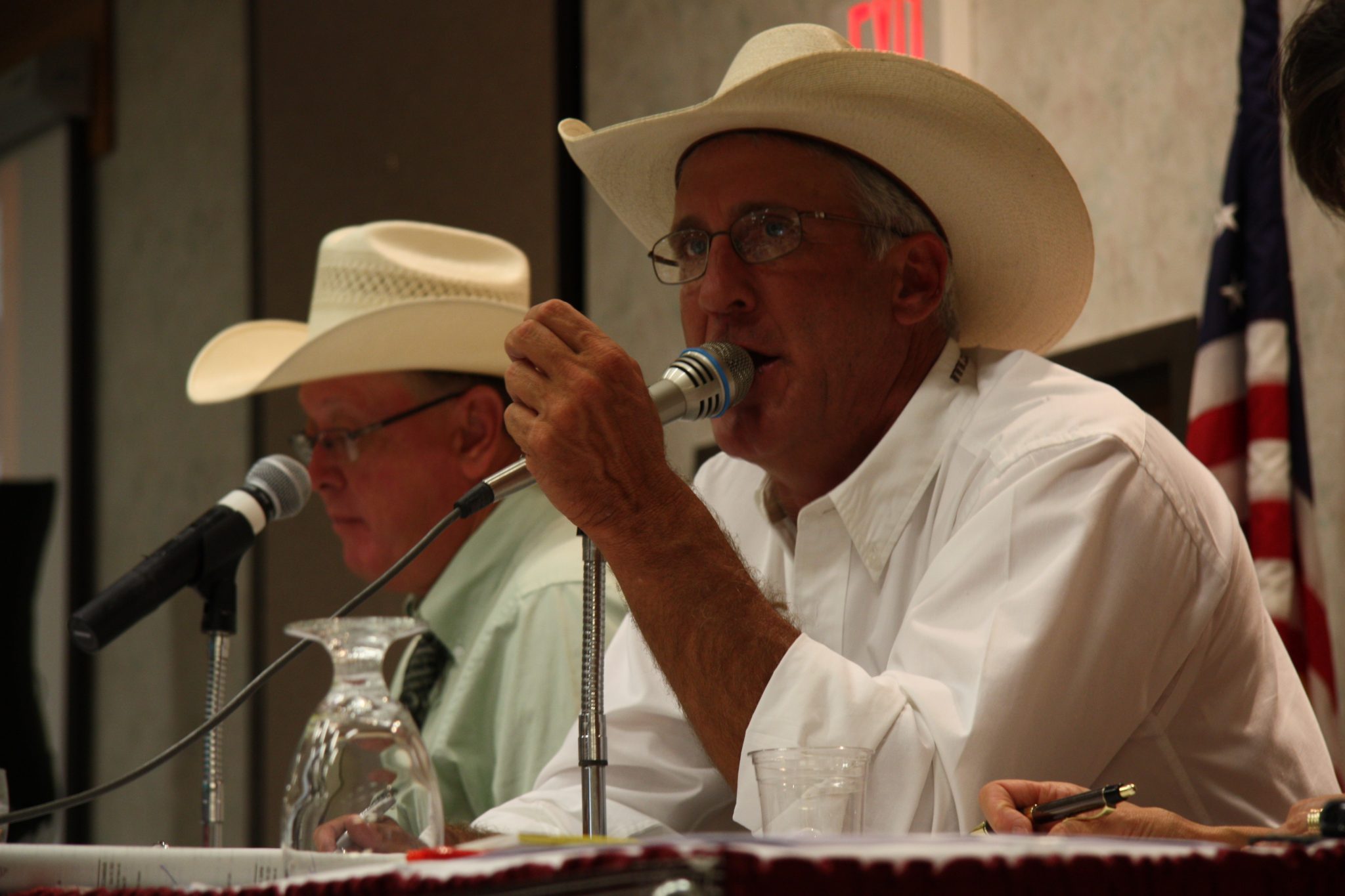 Legacy of the Auction Block: The Madden Brothers’ Journey in Livestock ...